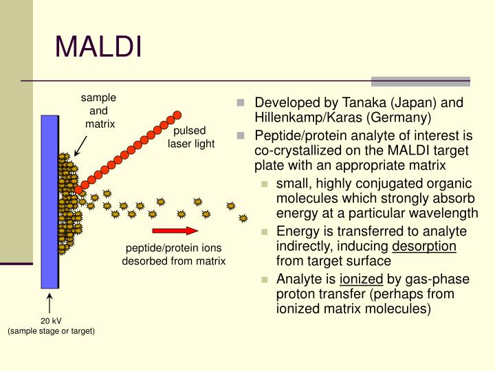 PPT - Mass Spectrometry-Based Methods for Protein Identification ...