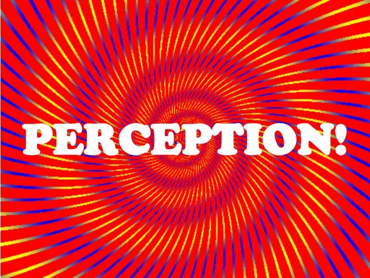 PPT - PERCEPTION! PowerPoint Presentation, free download - ID:5960400