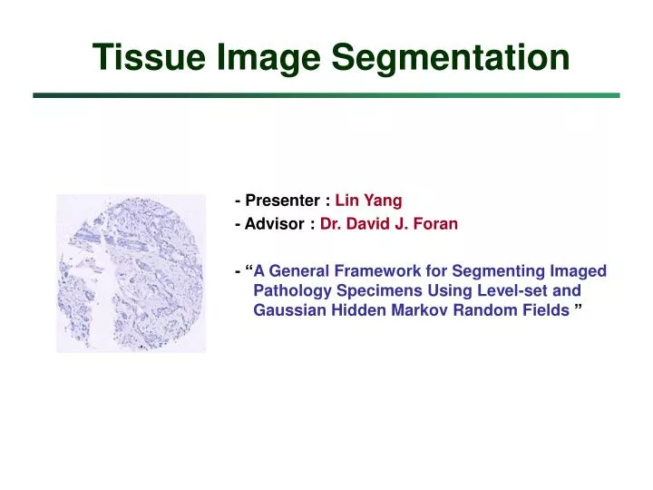 PPT - Tissue Image Segmentation PowerPoint Presentation, free download ...