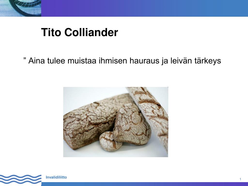 PPT - Understanding Poverty among People with Disabilities in Society ...