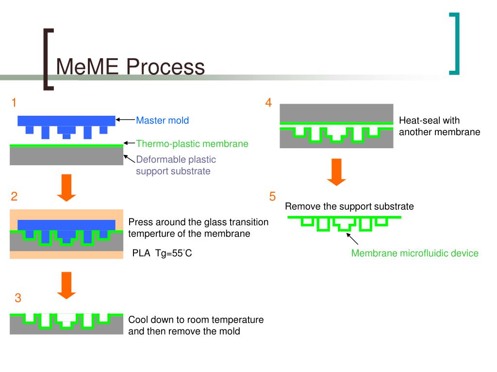 PPT - Masashi lkeuchi and koji lkuta PowerPoint Presentation, free ...