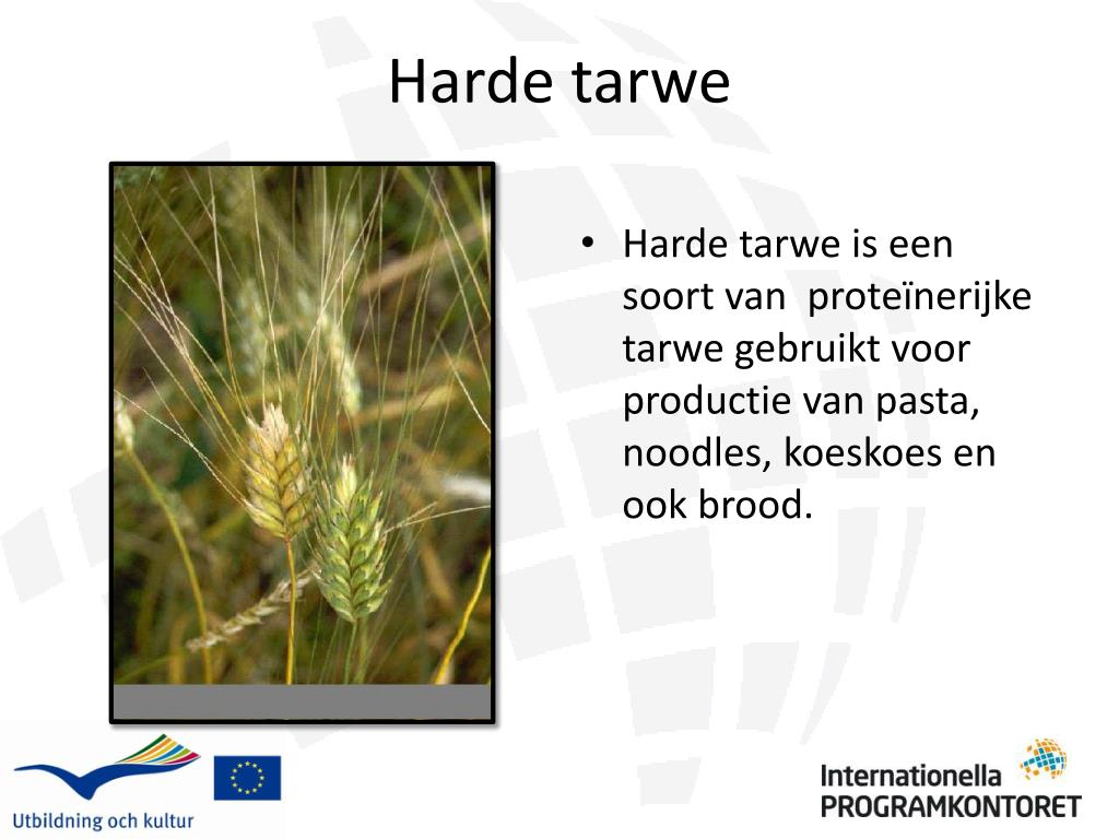 PPT - Leonardo da Vinci Partnership: “Kitchen and Restaurant Guide for ...