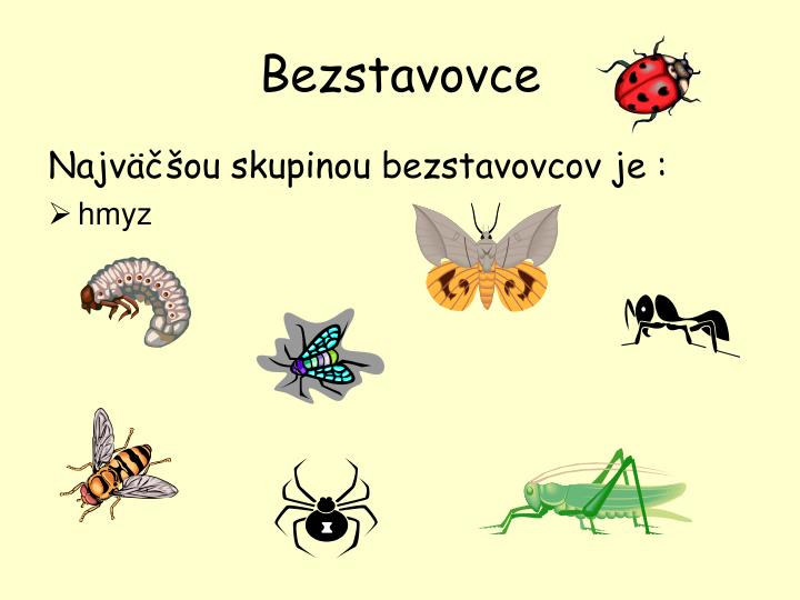 PPT - ŽIVOČÍCHY PowerPoint Presentation - ID:5969239