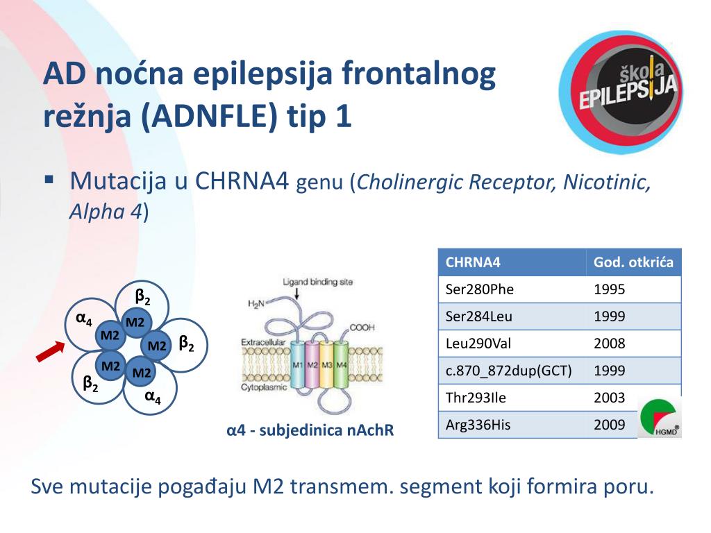 PPT - Genetska osnova epilepsije Valerija Dobričić PowerPoint ...