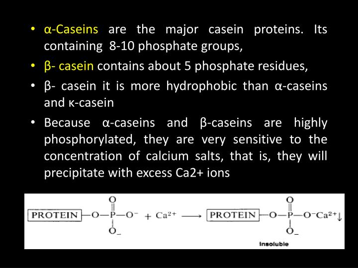 PPT - Isolation of casein from milk PowerPoint Presentation - ID:5969634