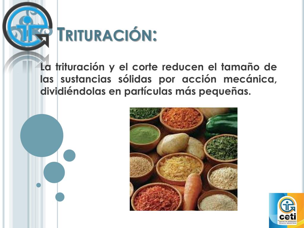 PPT - Triturado de alimentos PowerPoint Presentation, free download ...