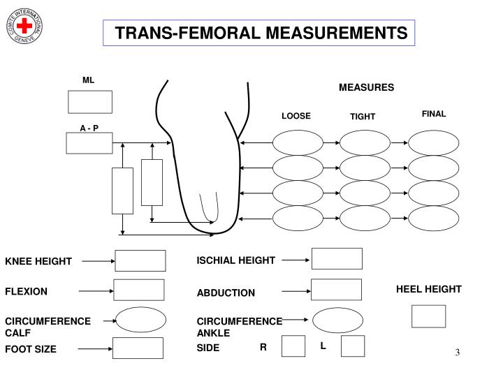 PPT - MEASUREMENTS, CASTING & RECTIFICATION FOR TRANS-FEMORAL (TF ...