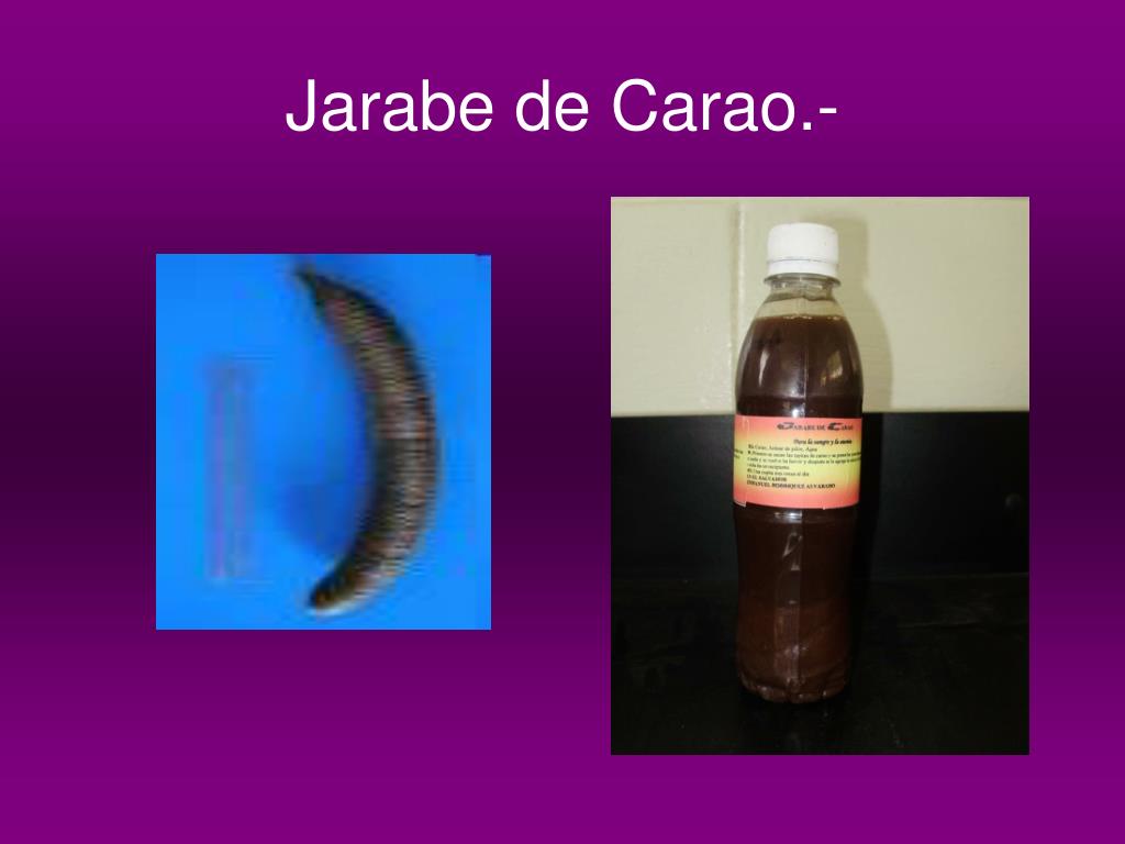 PPT - RESCATANDO LA MEDICINA NATURAL PowerPoint Presentation, free ...