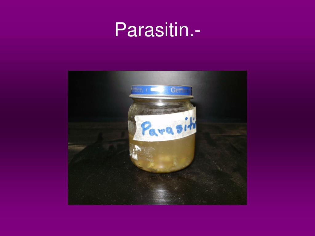 PPT - RESCATANDO LA MEDICINA NATURAL PowerPoint Presentation, free ...