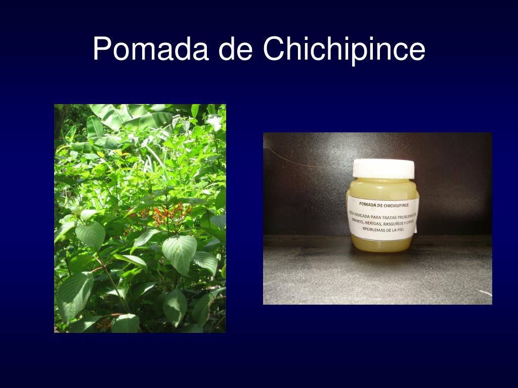 PPT - RESCATANDO LA MEDICINA NATURAL PowerPoint Presentation, free ...