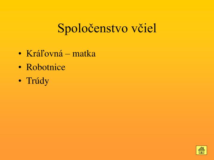 PPT - Včela medonosná PowerPoint Presentation - ID:5983785