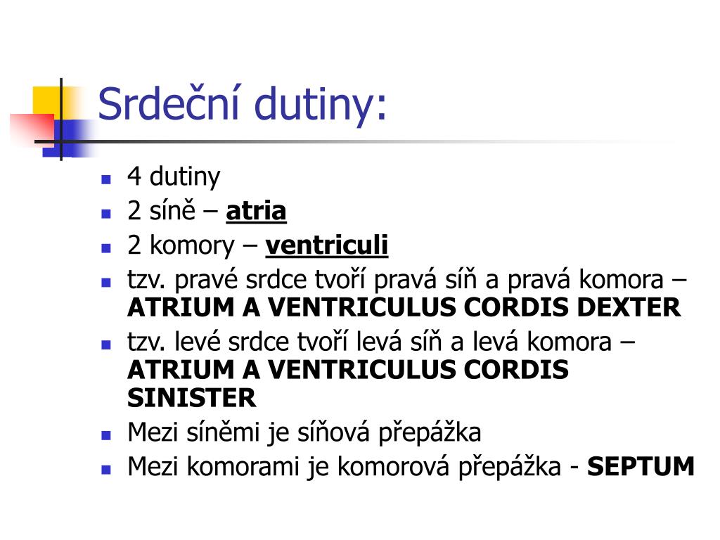 PPT - Somatologie Mgr. Naděžda Procházková PowerPoint Presentation - ID ...