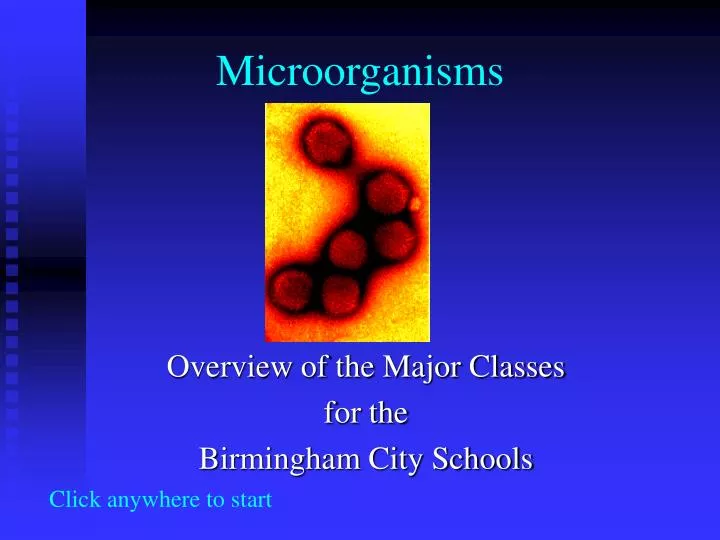 PPT - Microorganisms PowerPoint Presentation, free download - ID:5986697