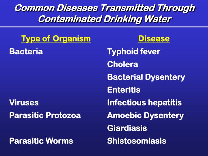 PPT - Water Pollution PowerPoint Presentation - ID:5987844
