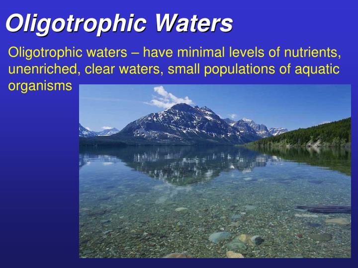 PPT - Water Pollution PowerPoint Presentation - ID:5987844