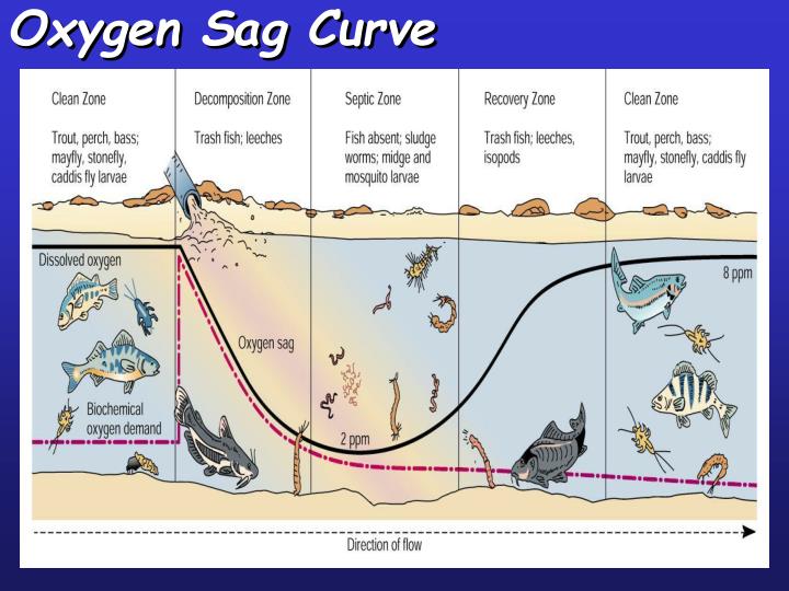 PPT - Water Pollution PowerPoint Presentation - ID:5987844