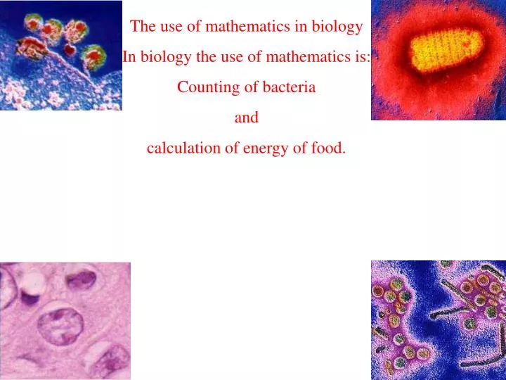 PPT - The use of mathematics in biology In biology the use of ...