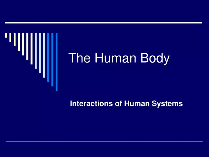 PPT - The Human Body PowerPoint Presentation, free download - ID:5990087