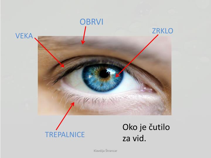 PPT - Oko PowerPoint Presentation - ID:5990155