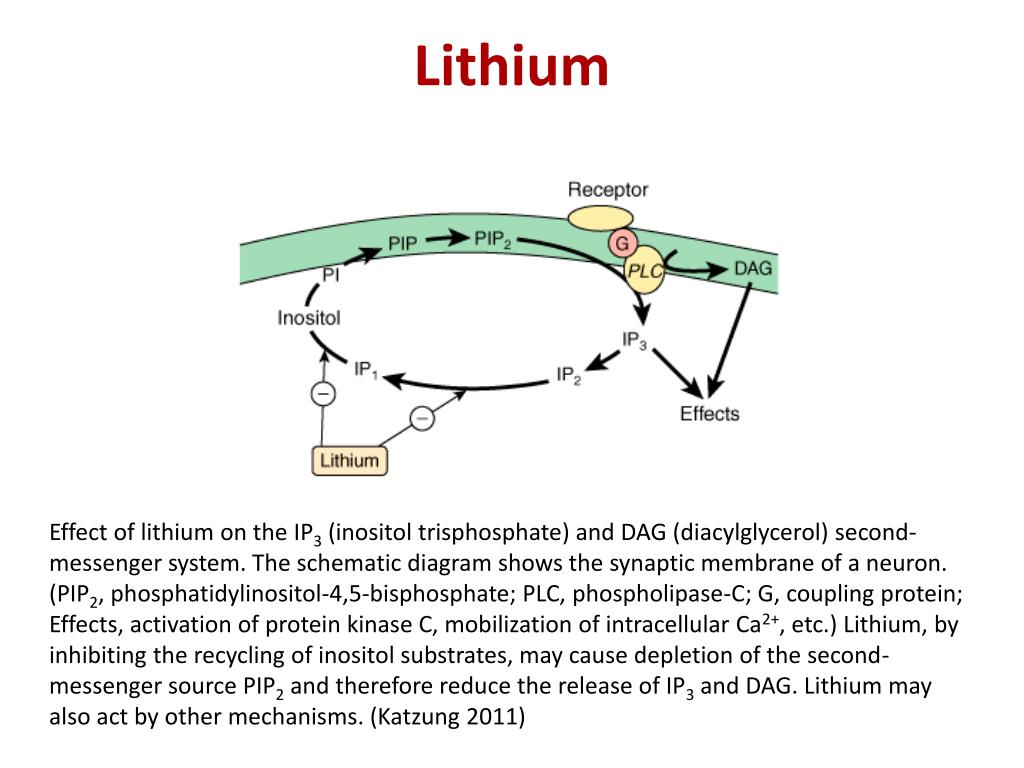 PPT - Drugs for Bipolar Disorders PowerPoint Presentation, free ...