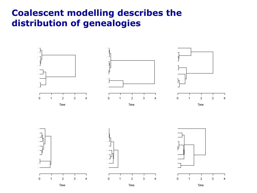 PPT - Approximate genealogical inference PowerPoint Presentation, free ... PPT - Approximate genealogical inference PowerPoint Presentation, free ...