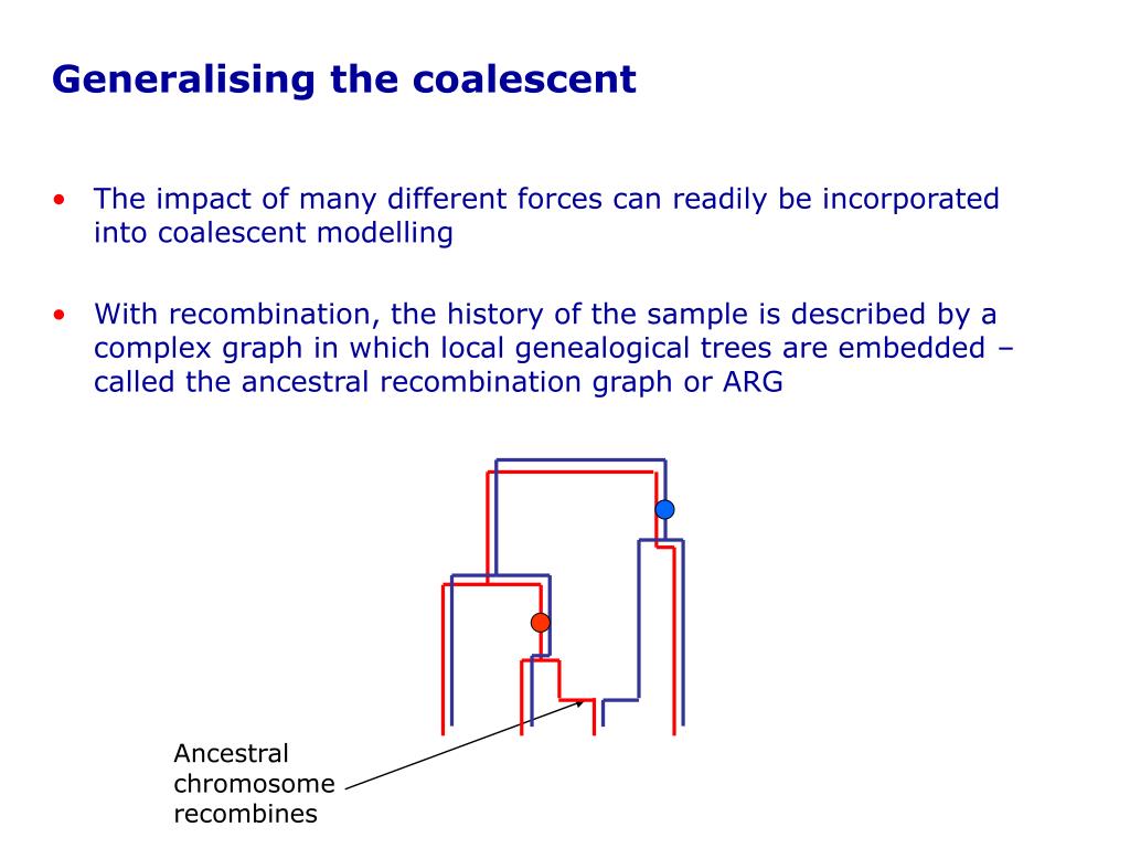 PPT - Approximate genealogical inference PowerPoint Presentation, free ... PPT - Approximate genealogical inference PowerPoint Presentation, free ...
