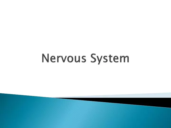 Ppt Nervous System Powerpoint Presentation Free Download Id 5994494