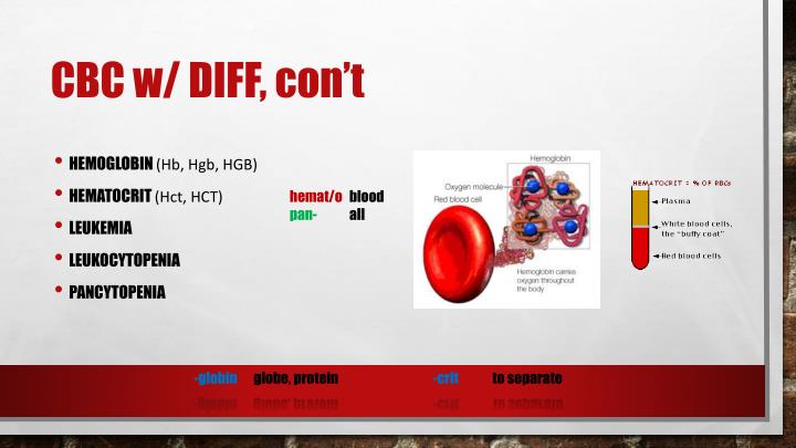 PPT - Blood & lymphatic system PowerPoint Presentation - ID:5996527