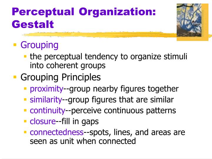 PPT - Chapter 6 Perceptual Organization PowerPoint Presentation - ID ...