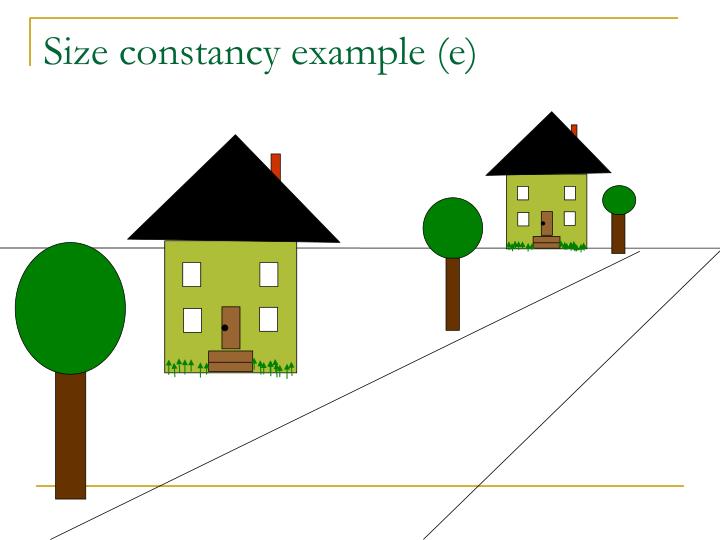 PPT - Perception PowerPoint Presentation - ID:5997211