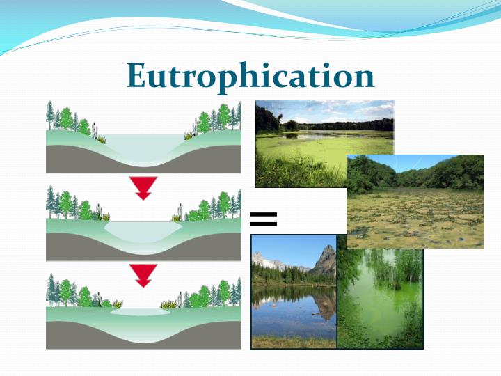 PPT - Agricultural Runoff PowerPoint Presentation - ID:5998042