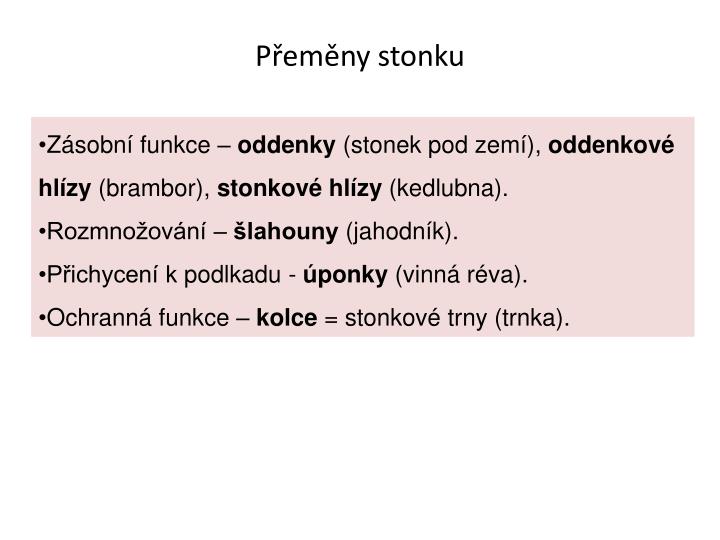 PPT - Stavba rostlinného těla Kořen, stonek PowerPoint Presentation ...