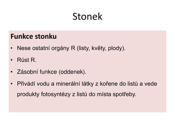 PPT - Stavba rostlinného těla Kořen, stonek PowerPoint Presentation ...