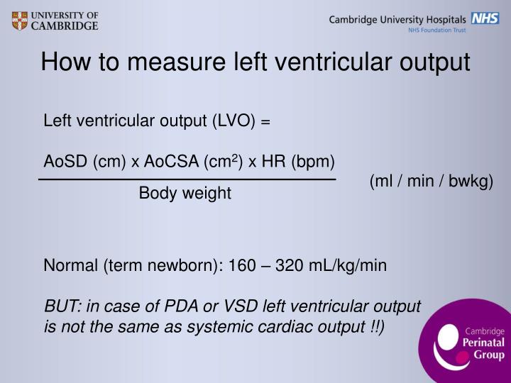PPT - Assessing C ardiac Function PowerPoint Presentation - ID:6002659