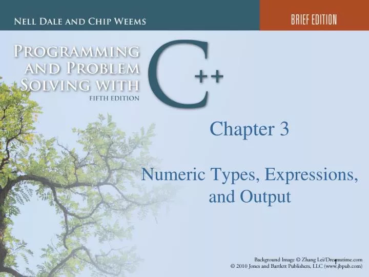 Ppt Chapter 3 Numeric Types Expressions And Output Powerpoint Presentation Id6003825