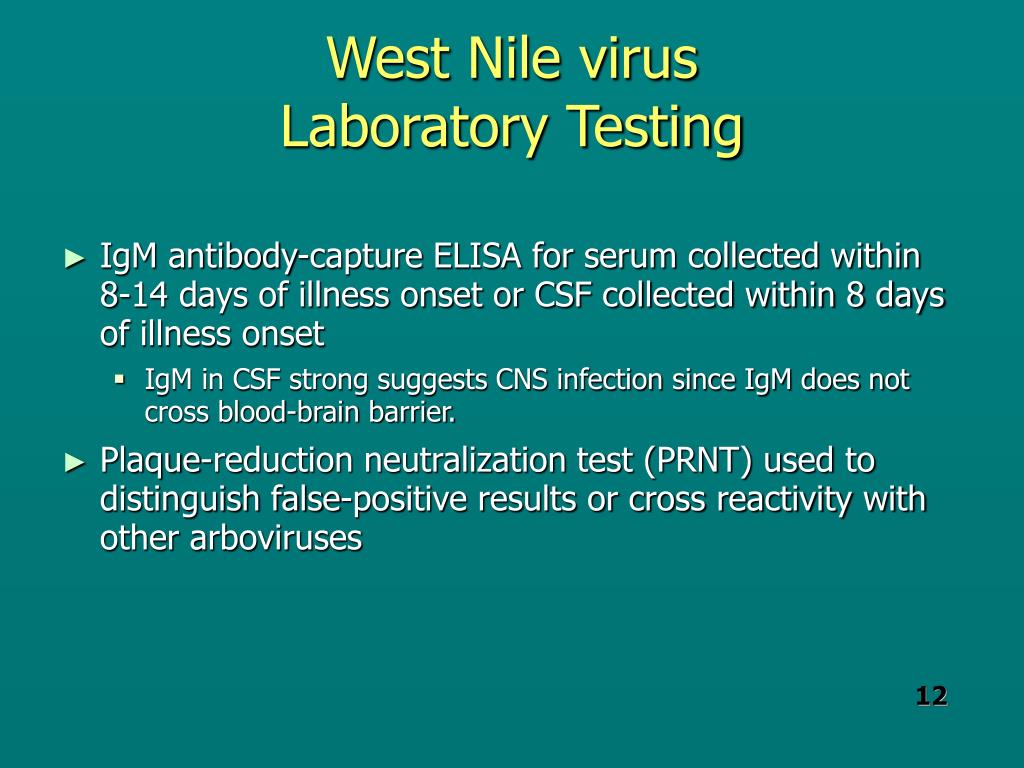 PPT - West Nile Virus: Surveillance and Clinical Issues PowerPoint ...