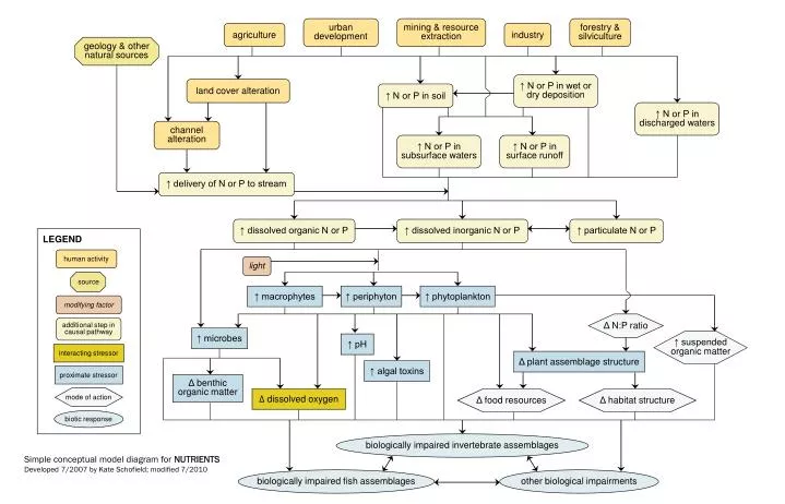 PPT - Simple conceptual model diagram for NUTRIENTS Developed 7/2007 by ...
