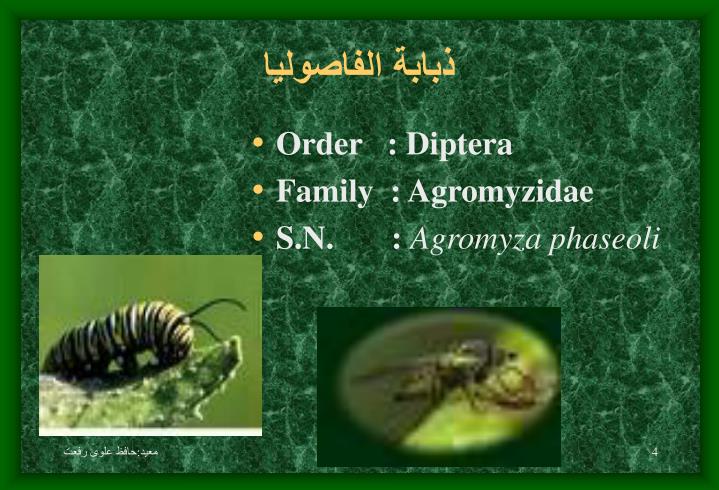 PPT - الدرس العملى الخامس PowerPoint Presentation - ID:6004911