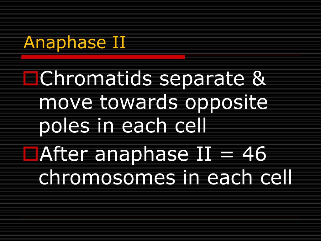 PPT - MEIOSIS PowerPoint Presentation, free download - ID:6005488