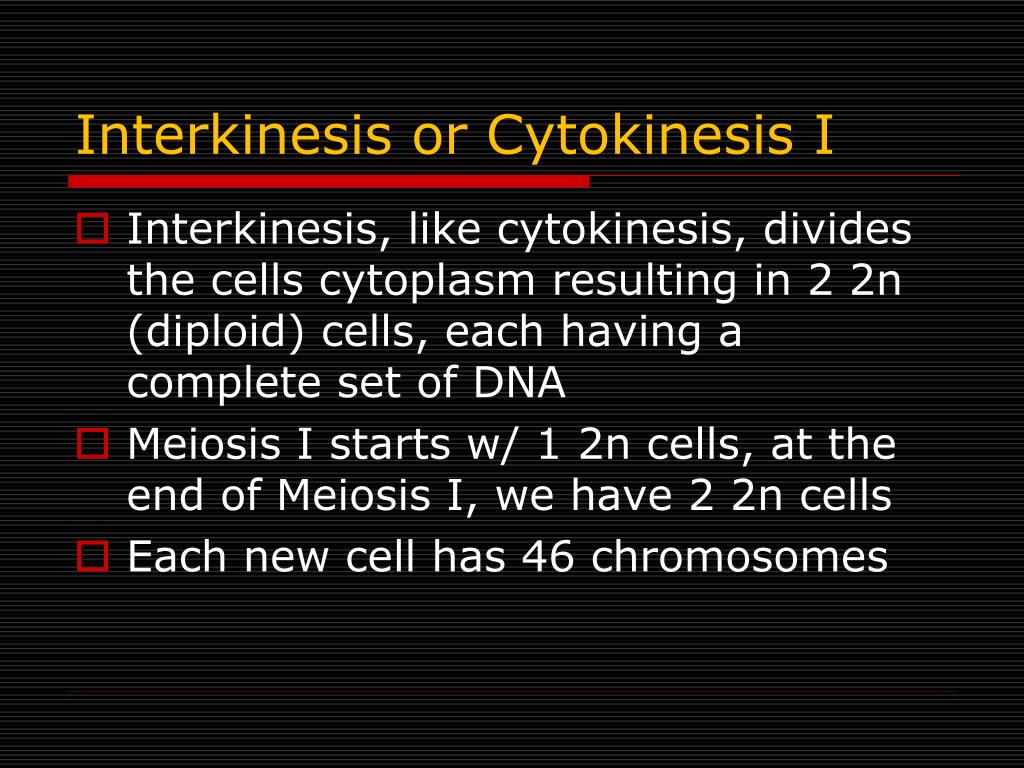 PPT - MEIOSIS PowerPoint Presentation, free download - ID:6005488