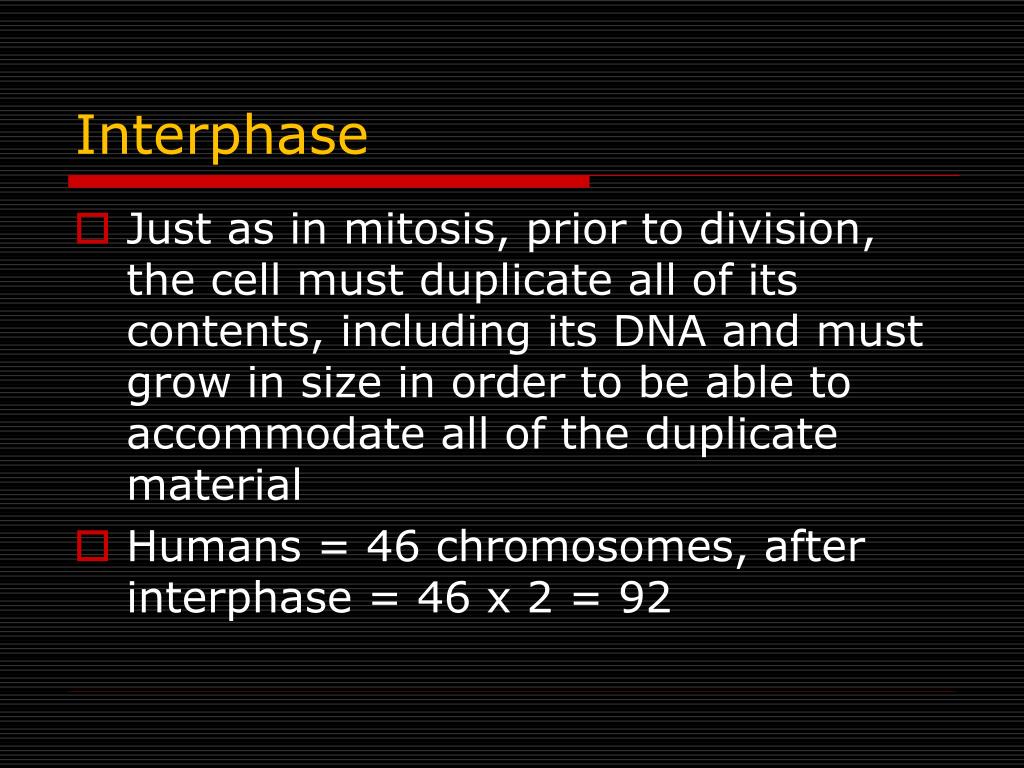 PPT - MEIOSIS PowerPoint Presentation, free download - ID:6005488