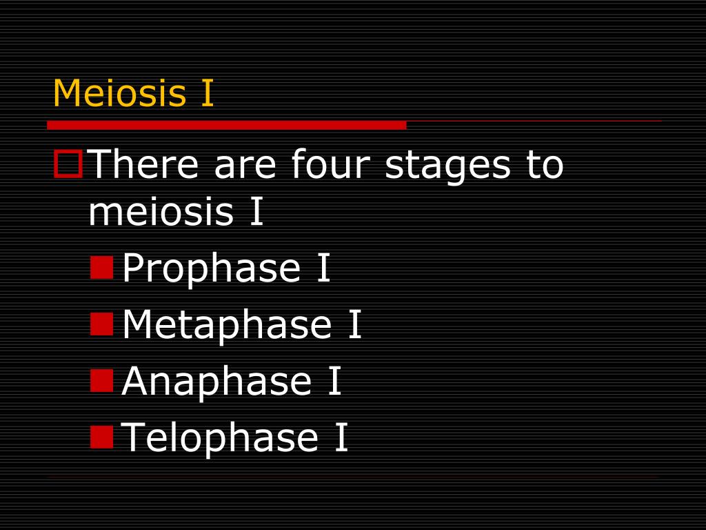 PPT - MEIOSIS PowerPoint Presentation, free download - ID:6005488