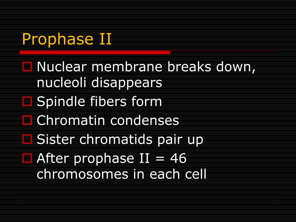 PPT - MEIOSIS PowerPoint Presentation, free download - ID:6005488