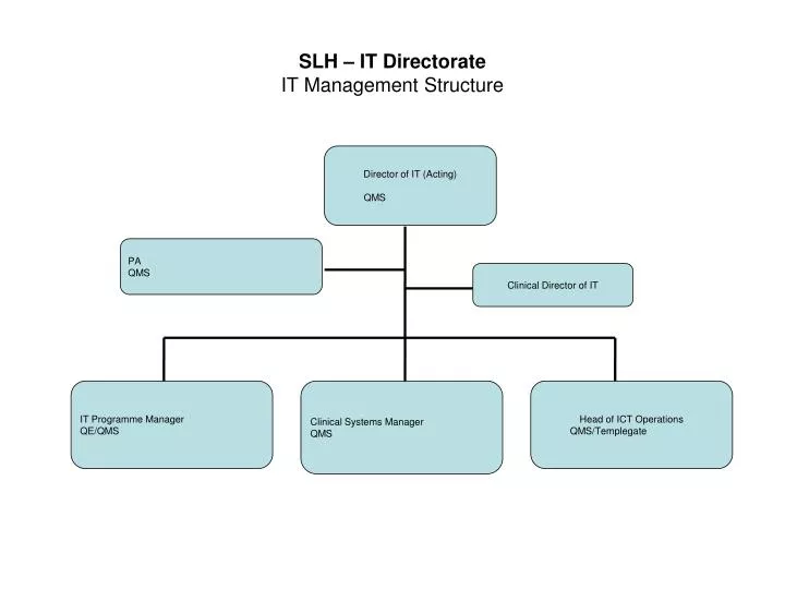 PPT - SLH – IT Directorate IT Management Structure PowerPoint ...