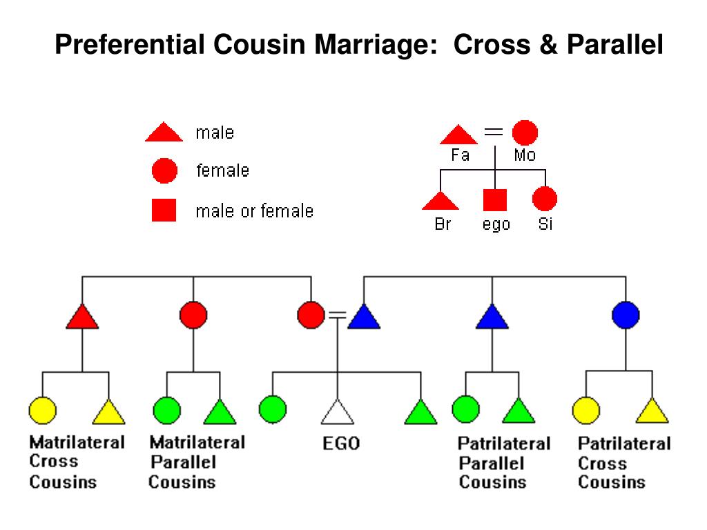 PPT - EEU, NAFTA, CAFTA TPP (Trans Pacific Partnership) Major ...