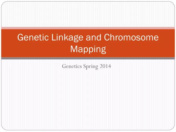 Ppt Genetic Linkage And Chromosome Mapping Powerpoint Presentation