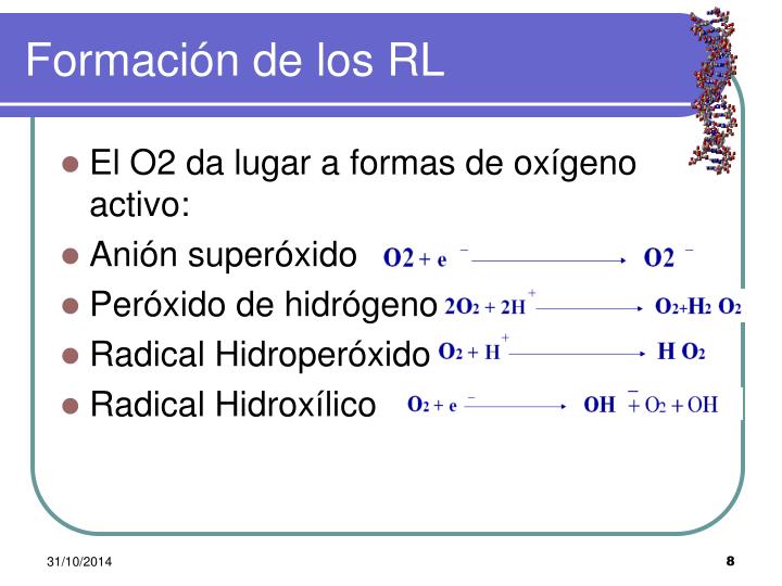 PPT - RADICALES LIBRES PowerPoint Presentation - ID:6007667