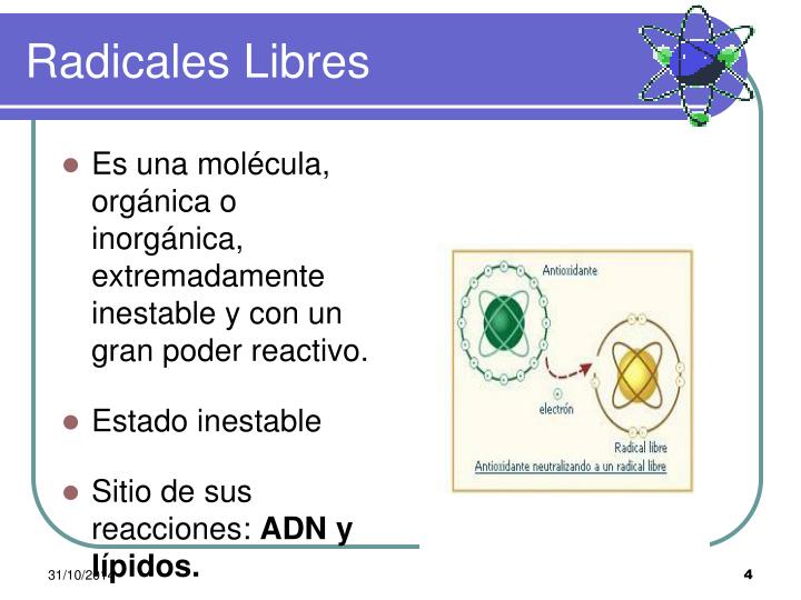 PPT - RADICALES LIBRES PowerPoint Presentation - ID:6007667