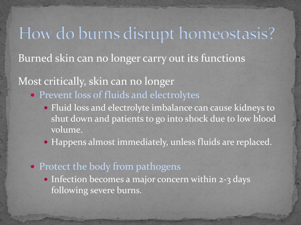 PPT - Skin Disorders: Burns & Skin Cancer PowerPoint Presentation - ID ...