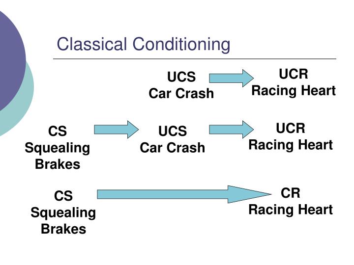 PPT - Chapter 4: Learning (Behaviorism) PowerPoint Presentation - ID ...